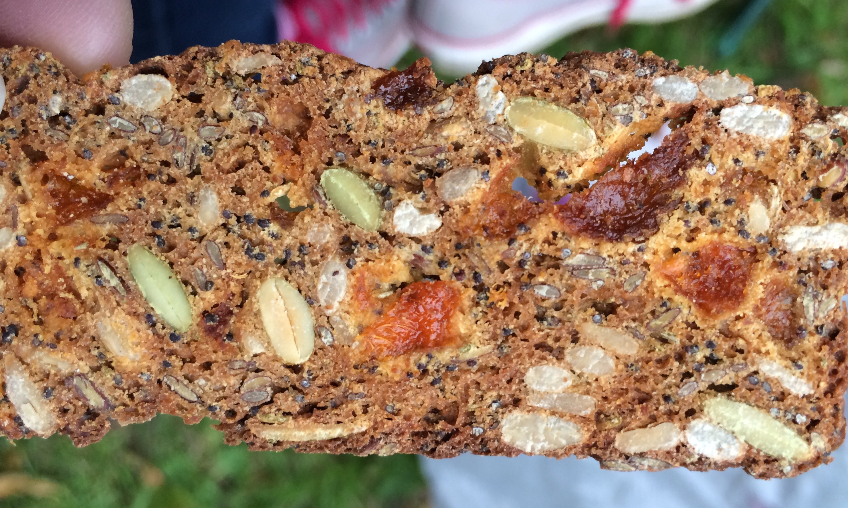 M&S picnic | Steeliac
